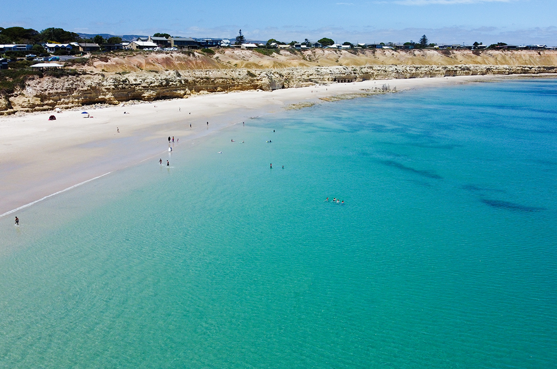 The Revolution - Compassion Revolution